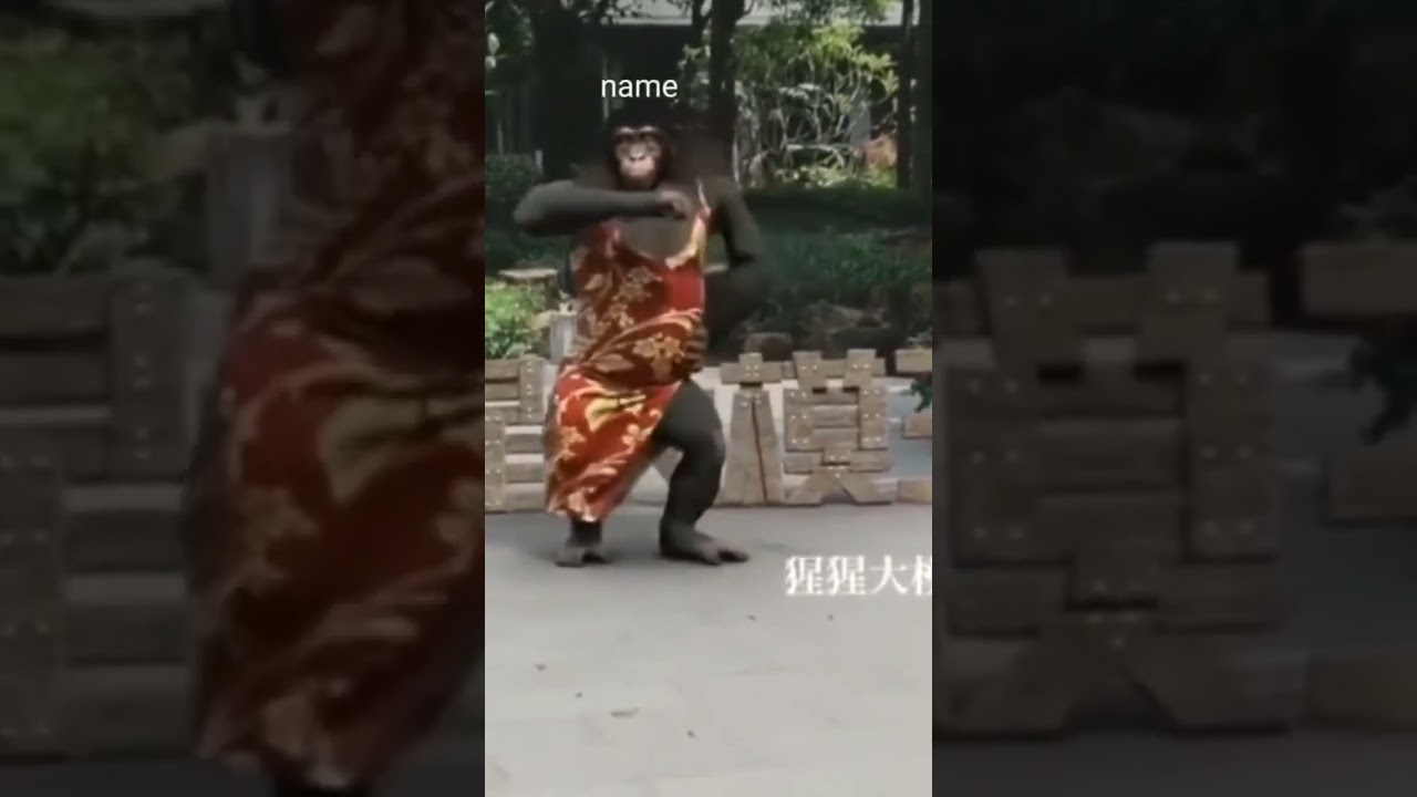 iPhone | Dancing Monkey | #funny #animal #dance Like #iphone