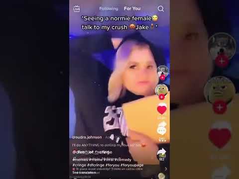 TikTok "Alpha Wolf" Cringe Meme
