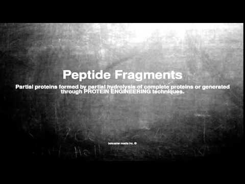 Medical vocabulary: What does Peptide Fragments mean