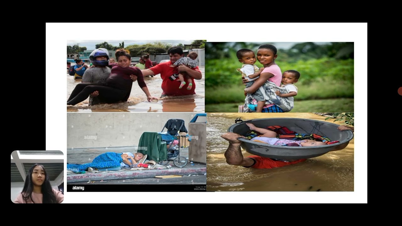 Elements exposed to a particular Hazard