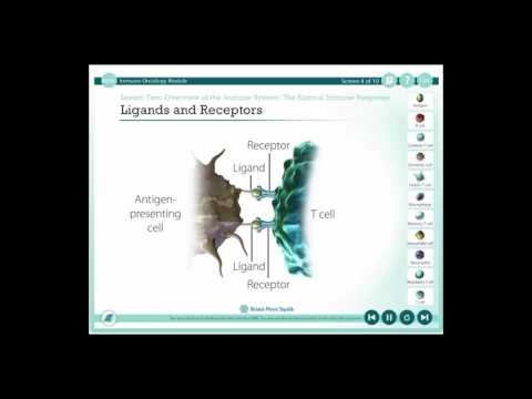 Ligands and Receptors Animation