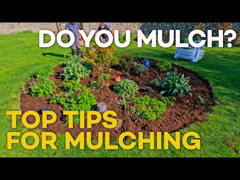 Top tips for mulching your garden