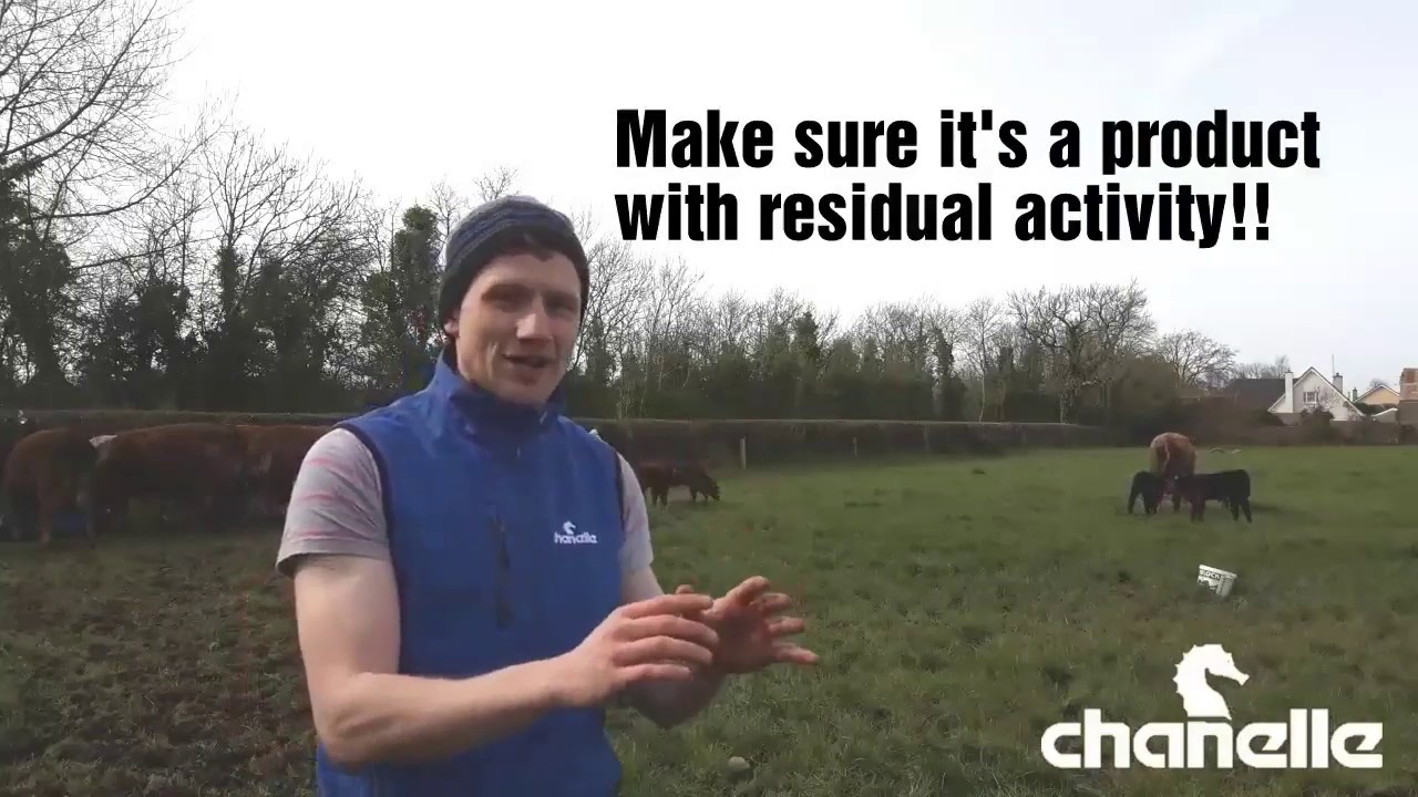 Video | Do I Need a Turnout Dose? | Farm Health First