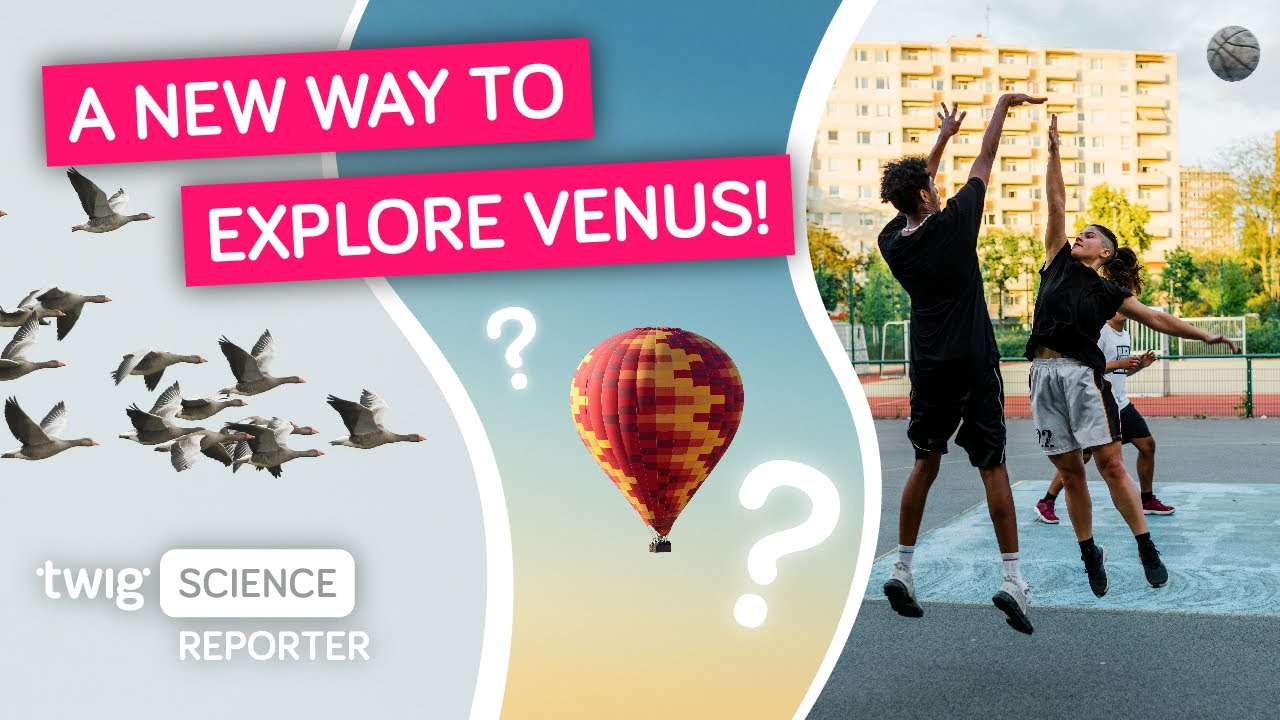 NASA Scientists Discover How to Orbit Venus! | Twig Science Reporter