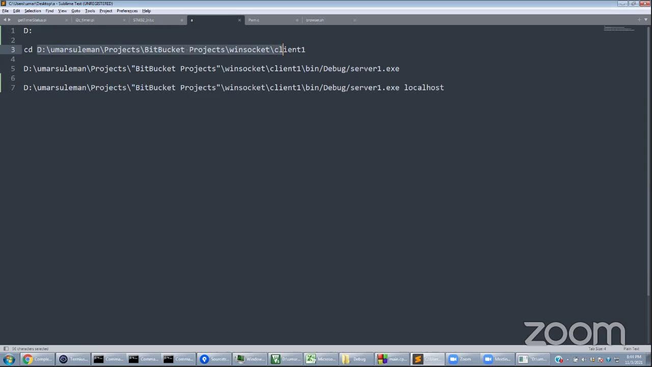Socket programming using windows sockets winsock2
