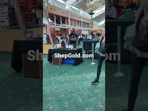 Shep Gold performing at PDX airport