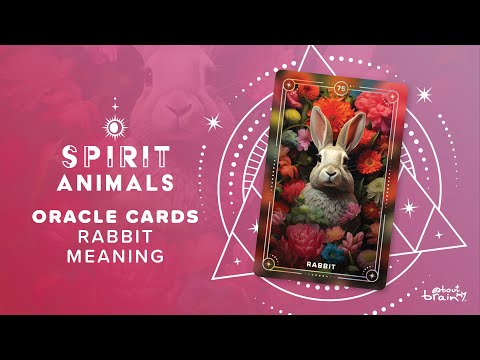 Embracing the wisdom of the Rabbit Spirit Animal
