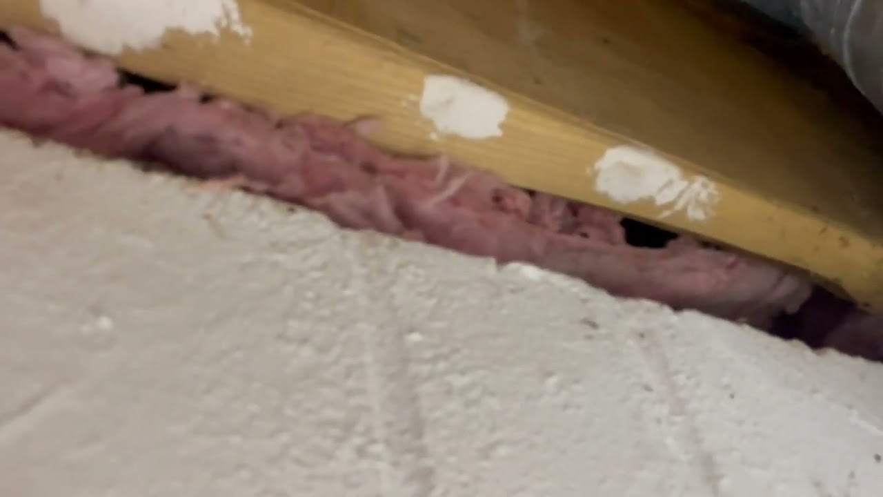 Mice Found Throughout the Basement Insulation