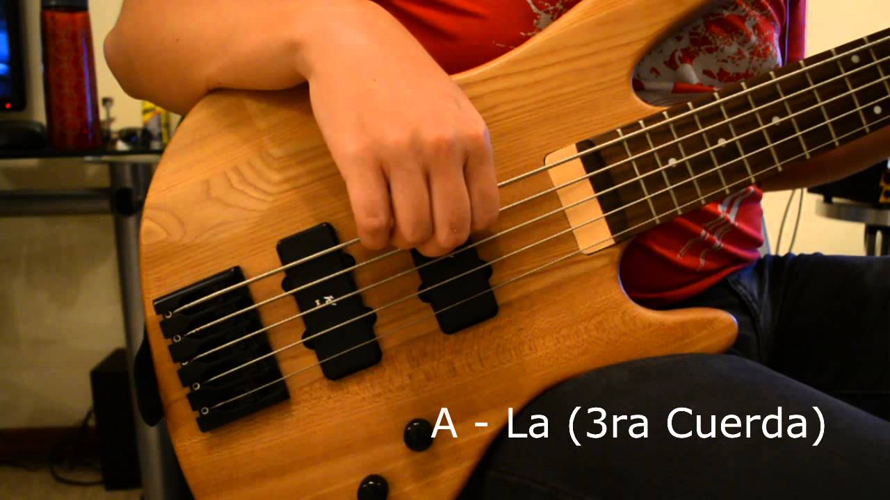 Afinación Bajo Eléctrico 5 Cuerdas (Referencia) - Bass Tuning 5 Strings