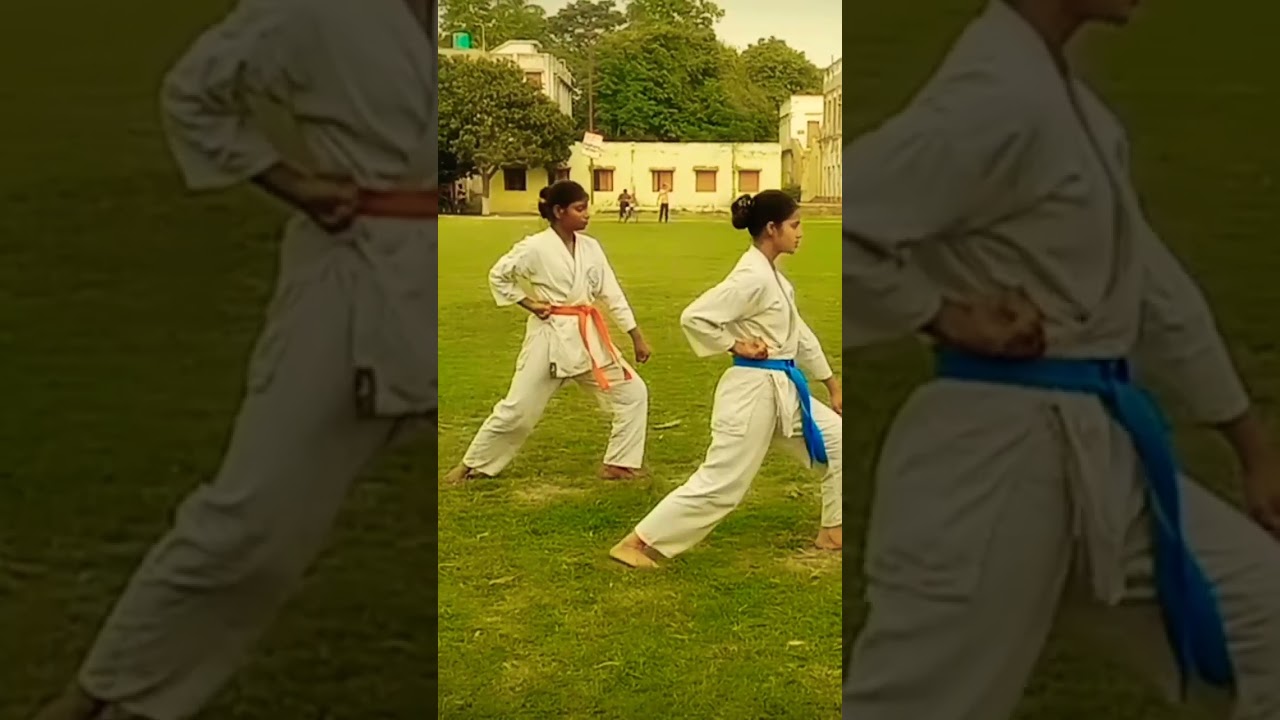 Shotokan Kata Heian Shodan!
