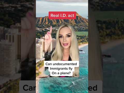 Can an undocumented immigrant travel through plane?