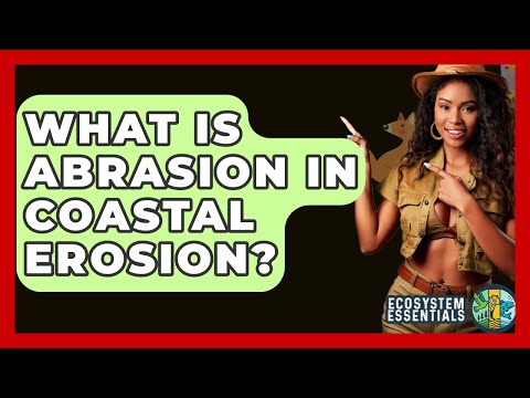 What Is Abrasion In Coastal Erosion? - Ecosystem Essentials