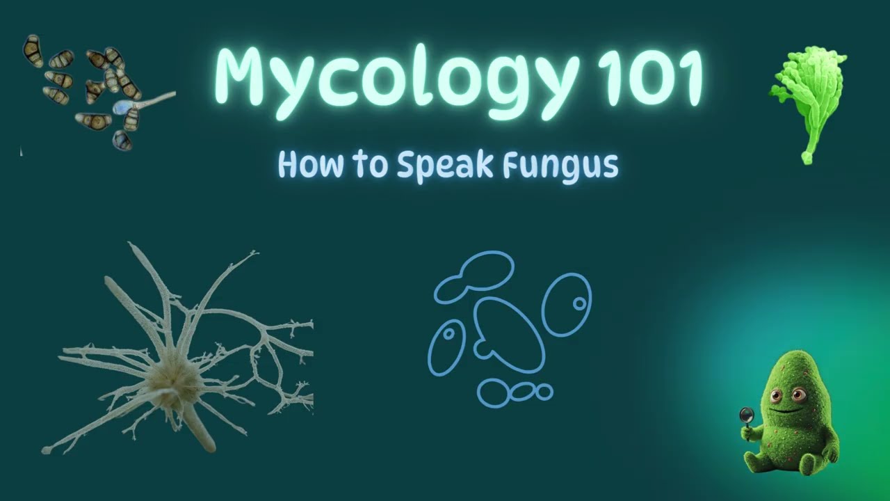 Mycology 101   How to Speak Fungus