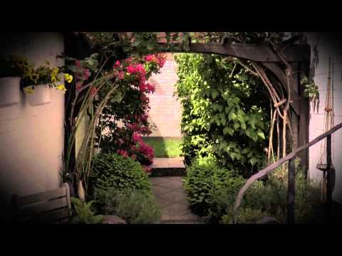 Hitchcock's Garden - The Vertigo Effect