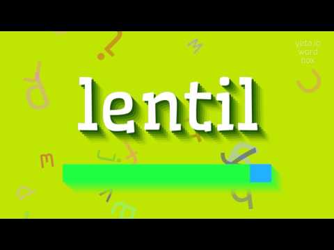 How to say "lentil"! (High Quality Voices)