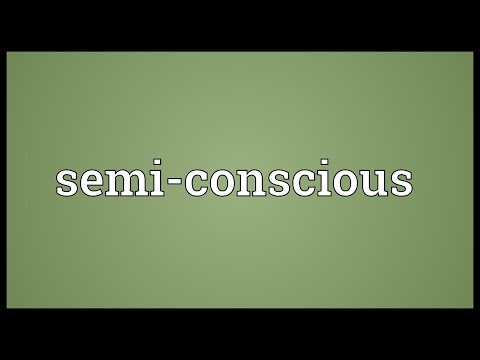 Semi-conscious Meaning