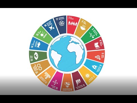 State of the SDGs in Canada – 2023 – 21st Century Information ...