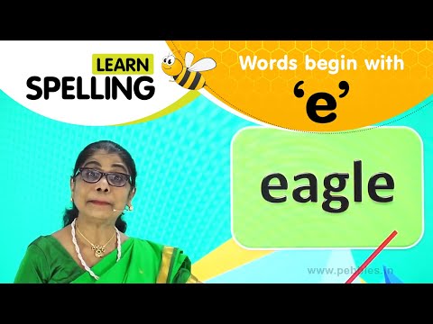 Spell & Tell Words that begin with 'E' | Word Phonics | Learn Spelling Words begin with Alphabet 'E'