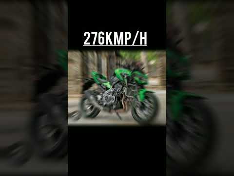 Z900 vs Zh2 vs Zx10r top speed#sportsbike #vs #shortvideo #shortvideo #ytshorts #superbike #bike #vs