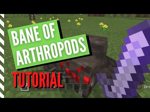 Minecraft BANE OF ARTHROPODS Enchantment Tutorial (What It Does & More)