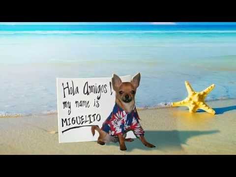 English to Spanish Translation Services