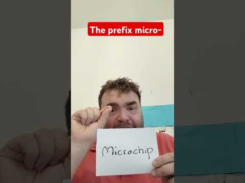 The prefix micro