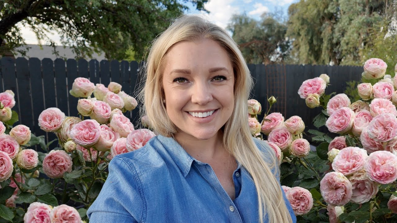 Planting My FAVORITE Rose! The Gorgeous Eden Climber 🥰