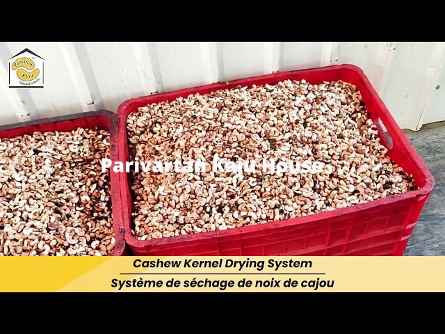 Automatic Cashew Cutting Machine - 4 Head Cashew Cutting Machine ...