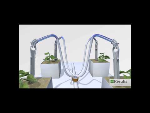 Inline Dripper - Inline Dripper Irrigation Latest Price, Manufacturers ...