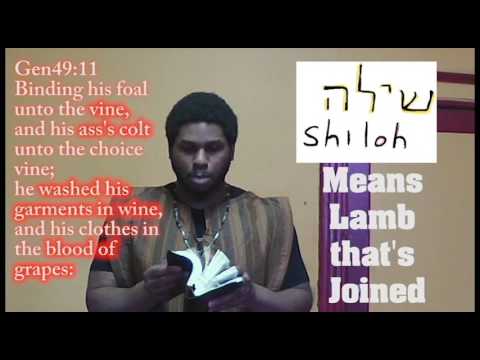 Shiloh in the Bible