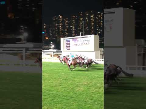 Horse Races #hongkong #2023 #shorts
