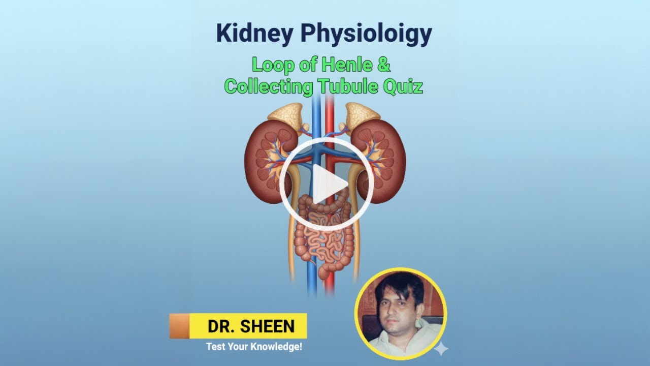 Kidney Physiology  Loop of Henle & Collecting Tubule Quiz-4