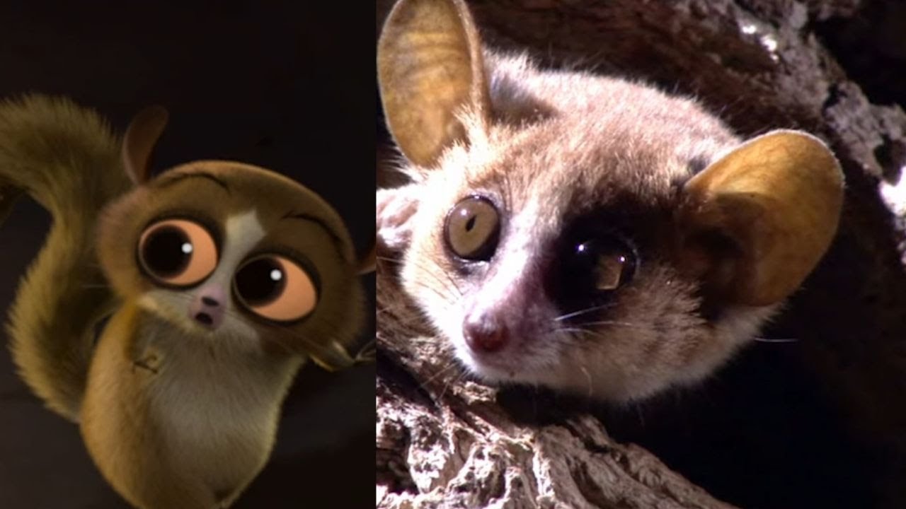 The Real Mort