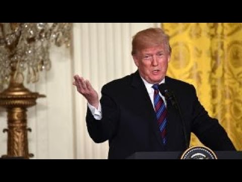 Trump calls China’s tariffs on American cars ‘stupid’