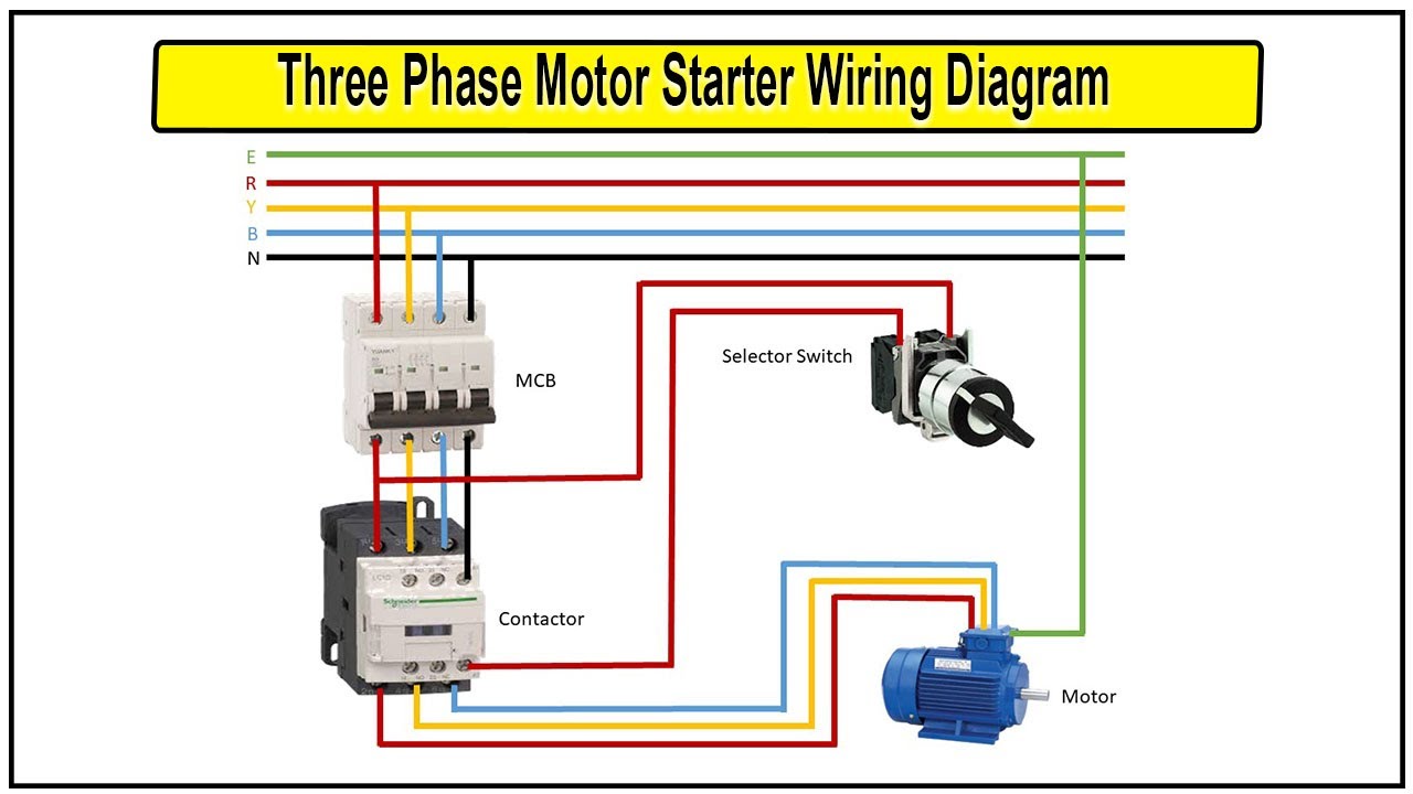 How To Make Three Phase Motor Starter Wiring Diagram | 3 phase motor starter wiring diagram