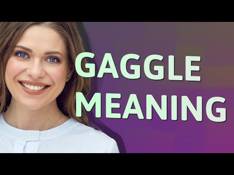 Gaggle | meaning of Gaggle