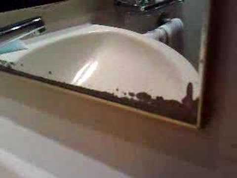 Hotel Hilton Amsterdam Schiphol product review