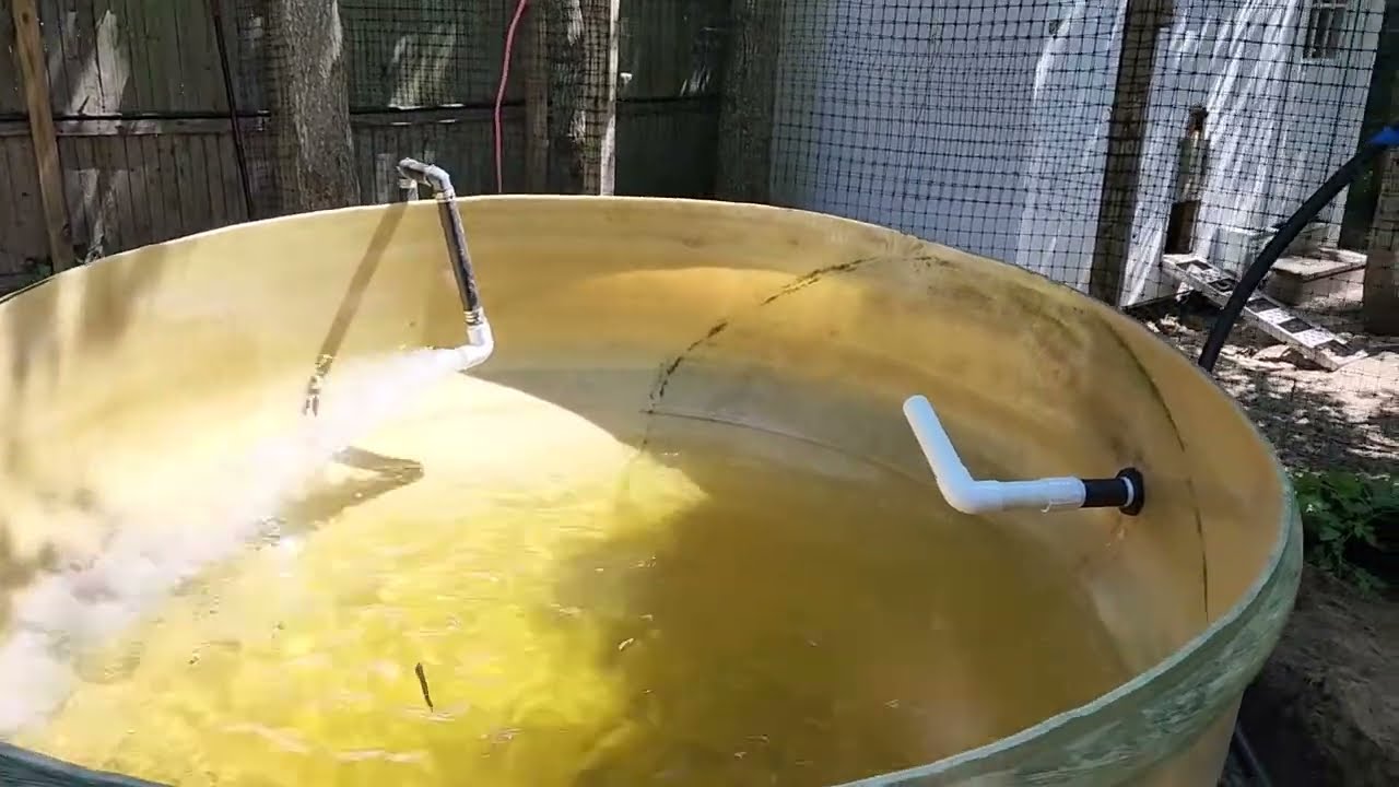 Power of Organic Duckweed Pond filter: First-Time Fill-Up