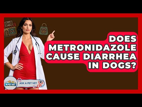 Does Metronidazole Cause Diarrhea In Dogs? - Ask A Pet Vet