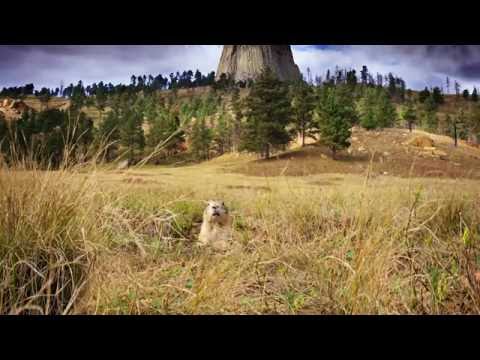 National Parks Adventure - Featurette