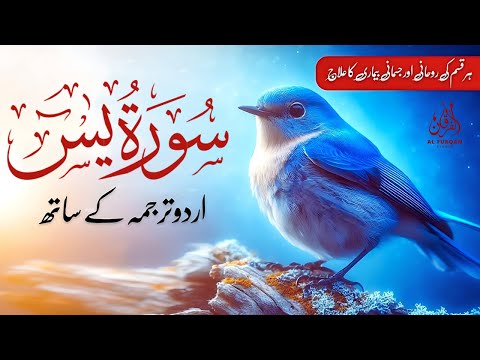 Surah Yaseen | Beautiful Quran Recitation with Urdu Translation | سورہ یٰسین شفا کے لیے