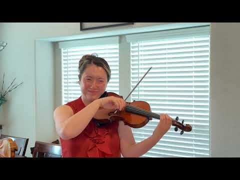 Flamed Eduard Reichart full size vintage German violin | Reverb