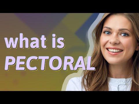 Pectoral | meaning of Pectoral
