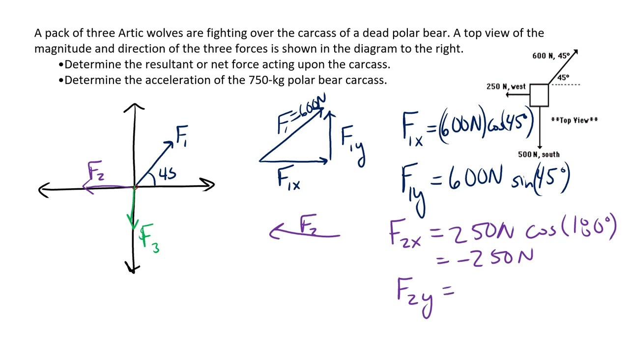 Net Force vector addition mp4