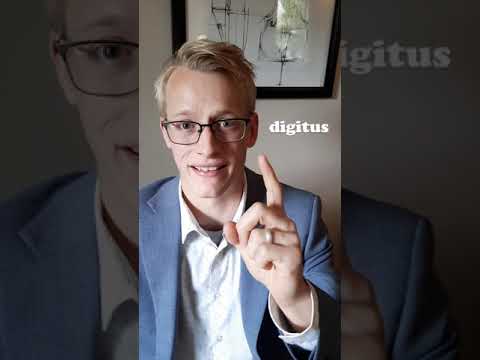 How Picta Dicta teaches Latin intuitively