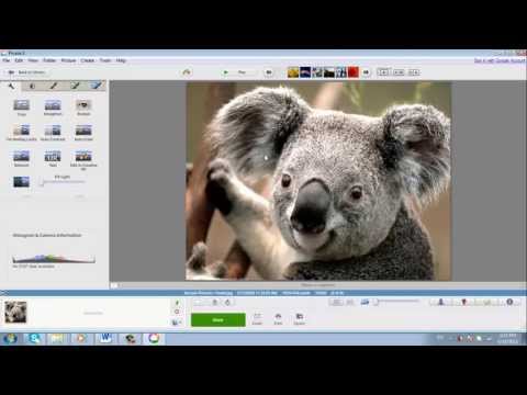 Best Tutorial on Picasa. Official Professional Look