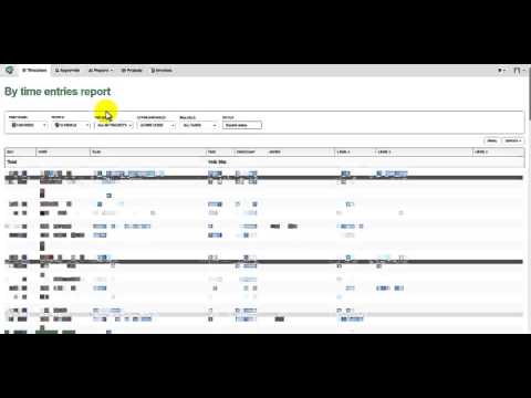 Reporting software development progress with time tracking - TimeCamp - HR reporting software