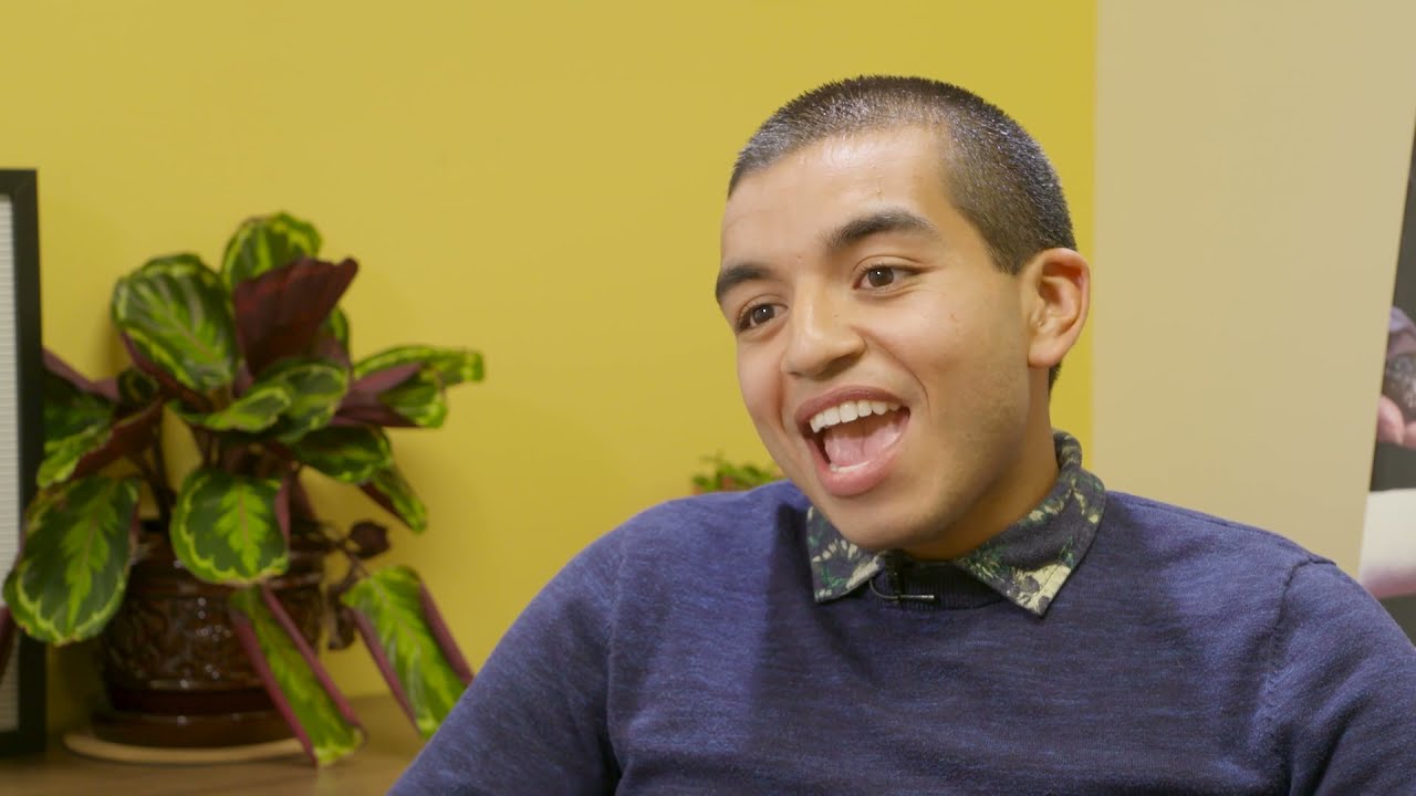 Mental Health Services and Housing Programs - Monterey County - Interim ...