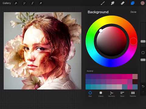 Free – Ingrid Clare