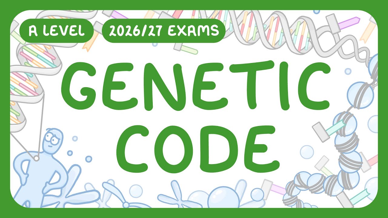 A-Level Biology - Genetic Code | How DNA Packs into Chromosomes | Codon Tables (2026/27 exams)